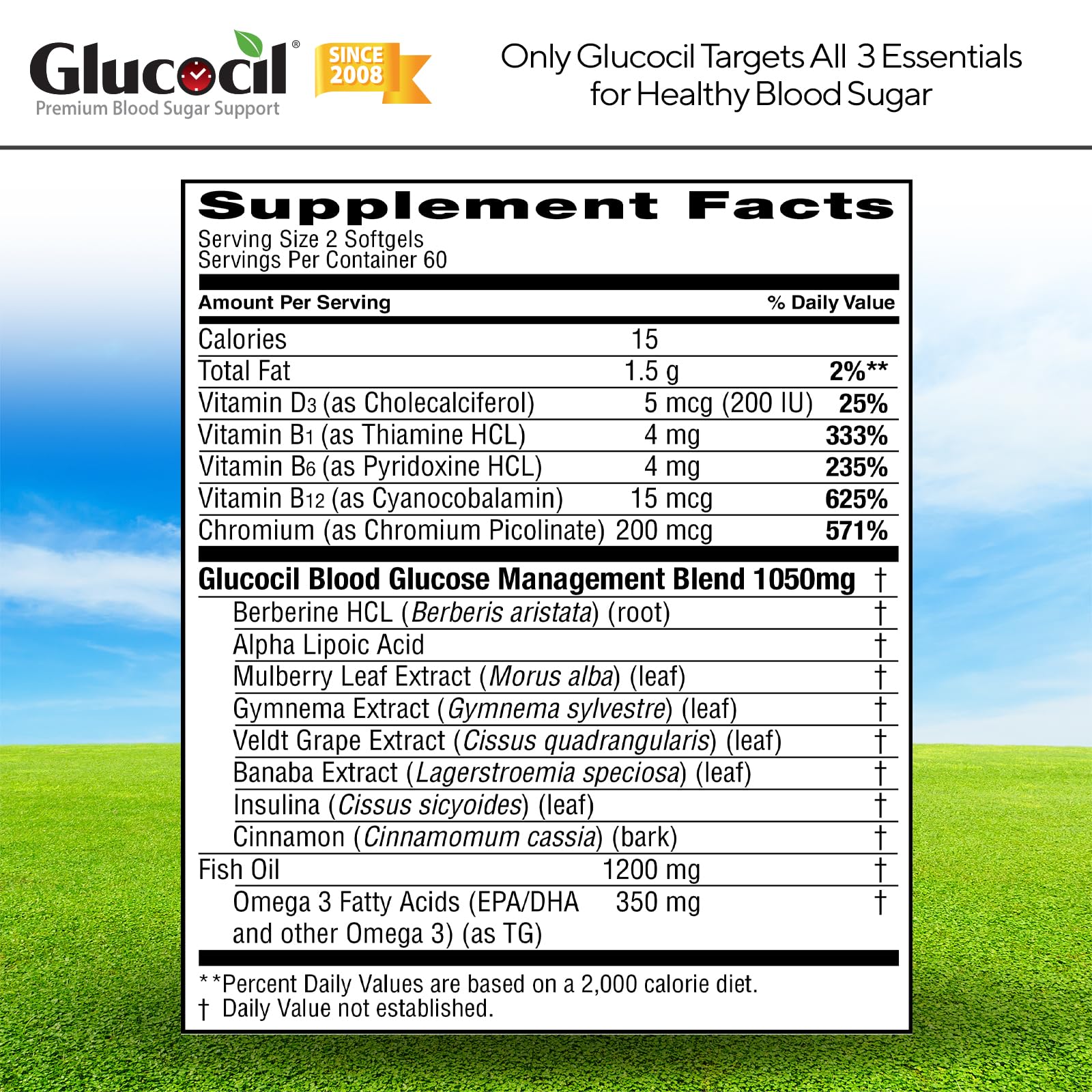 multivitamin for seniors with essential nutrients