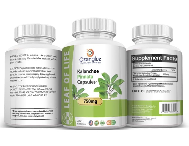 multivitamin for seniors with essential nutrients