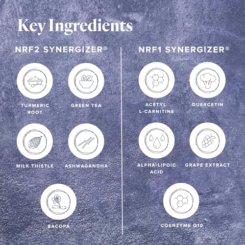 multivitamin for seniors with essential nutrients
