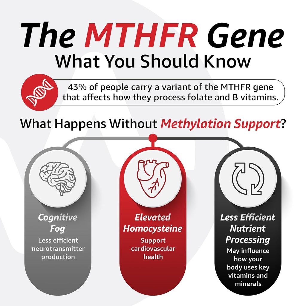 multivitamin for seniors with extra support