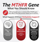 multivitamin for seniors with extra support