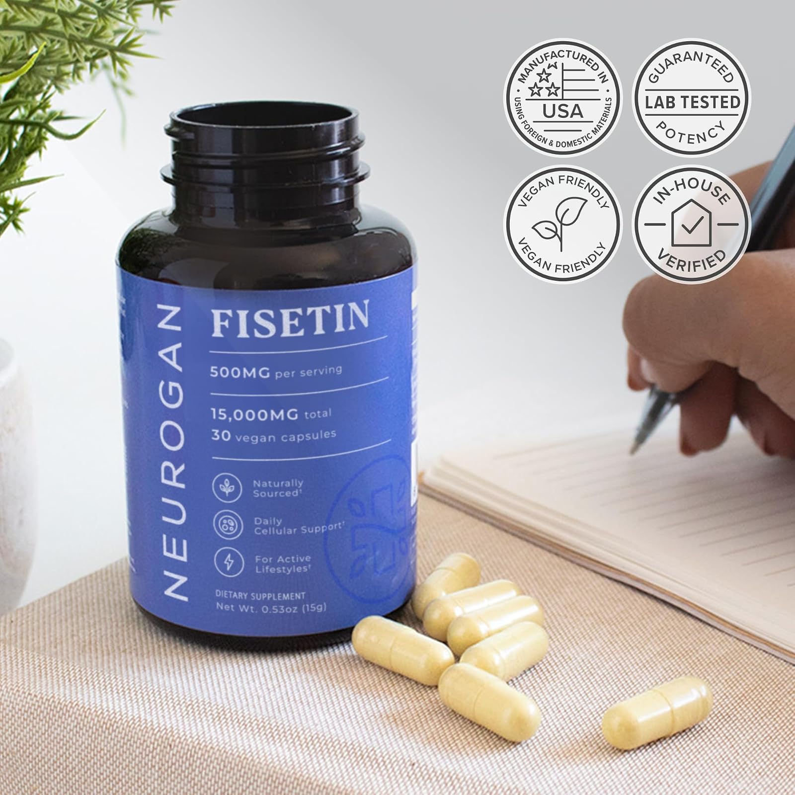 multivitamin for seniors with Fisetin