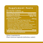 multivitamin for seniors with glutathione