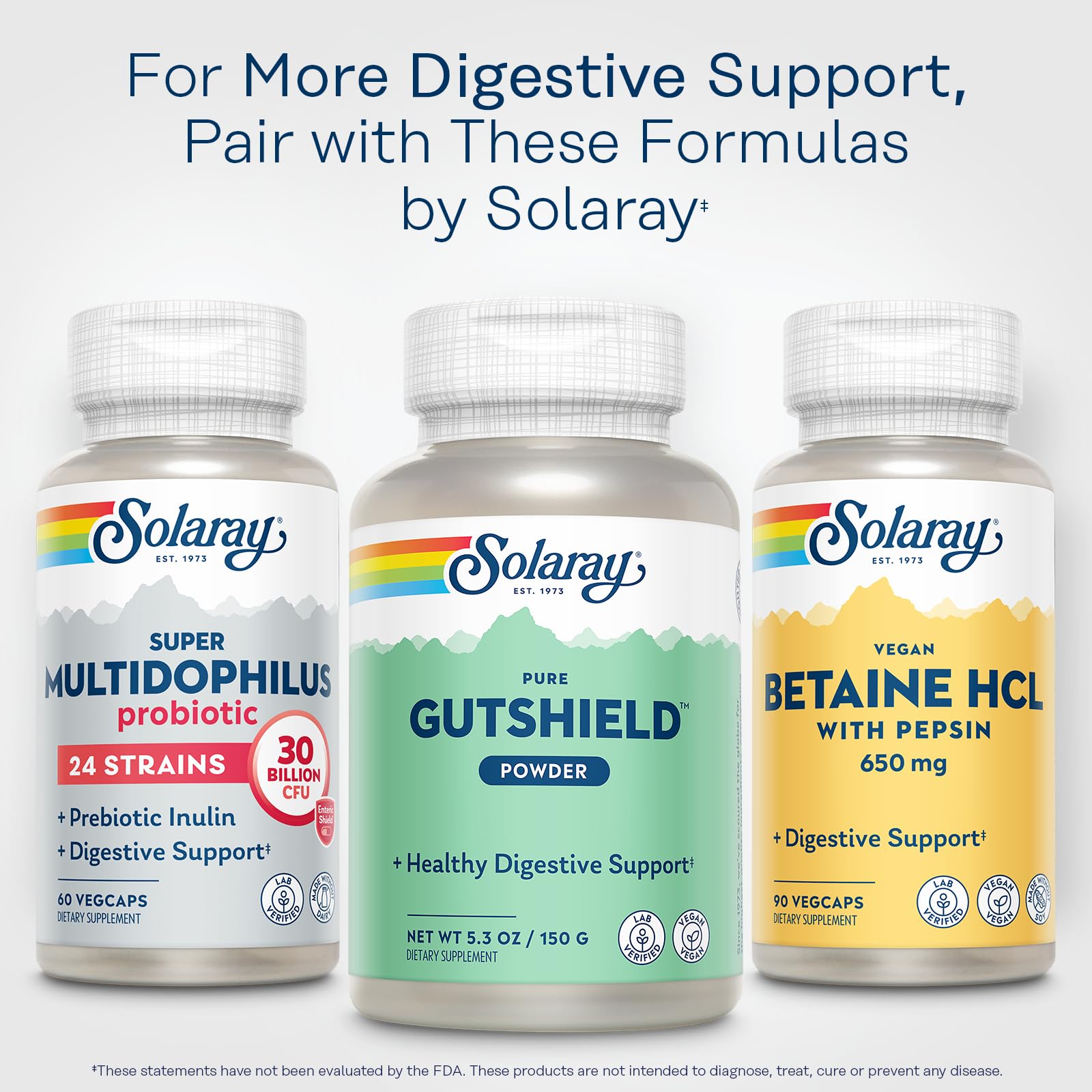 multivitamin for seniors with gut benefits