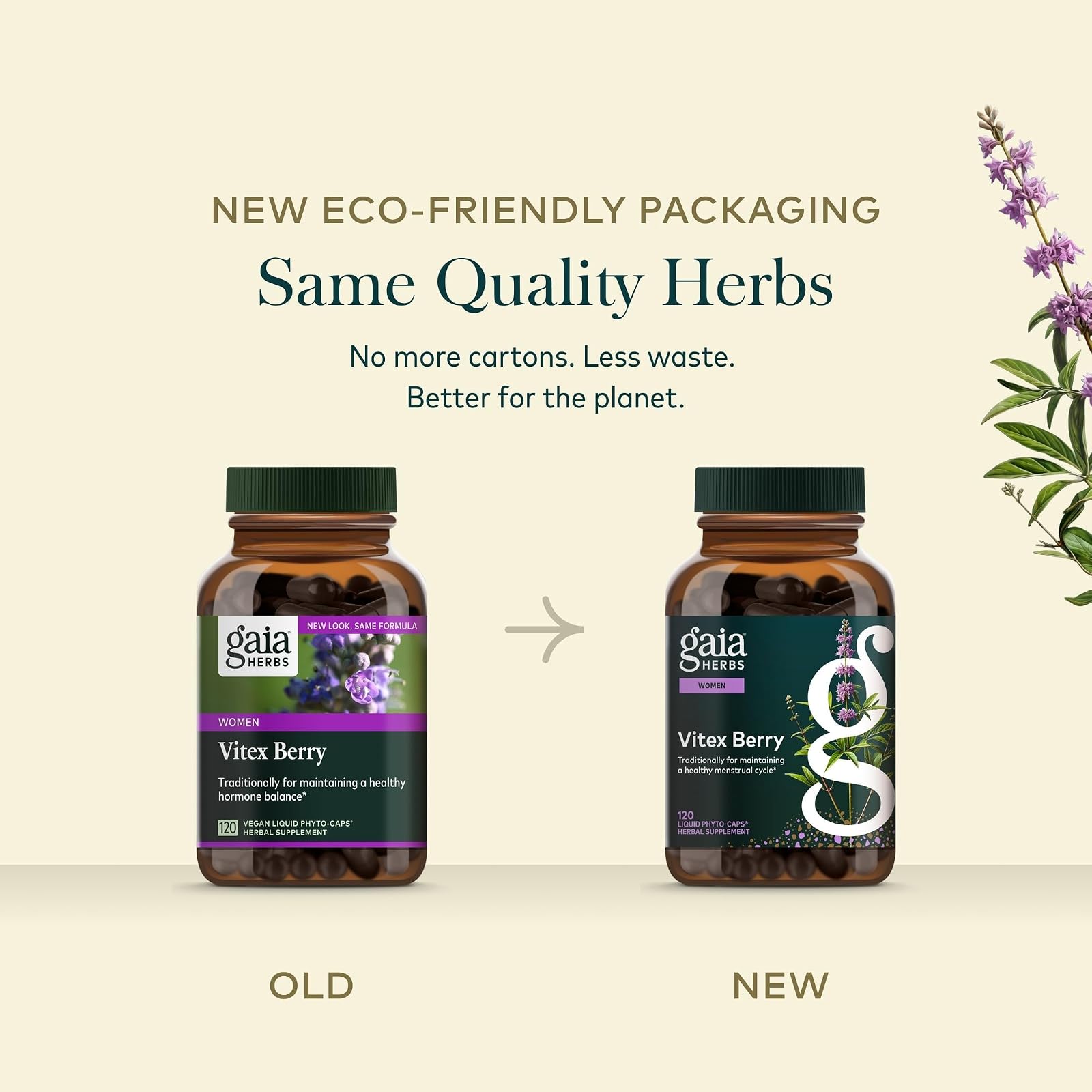 multivitamin for seniors with herbal benefits