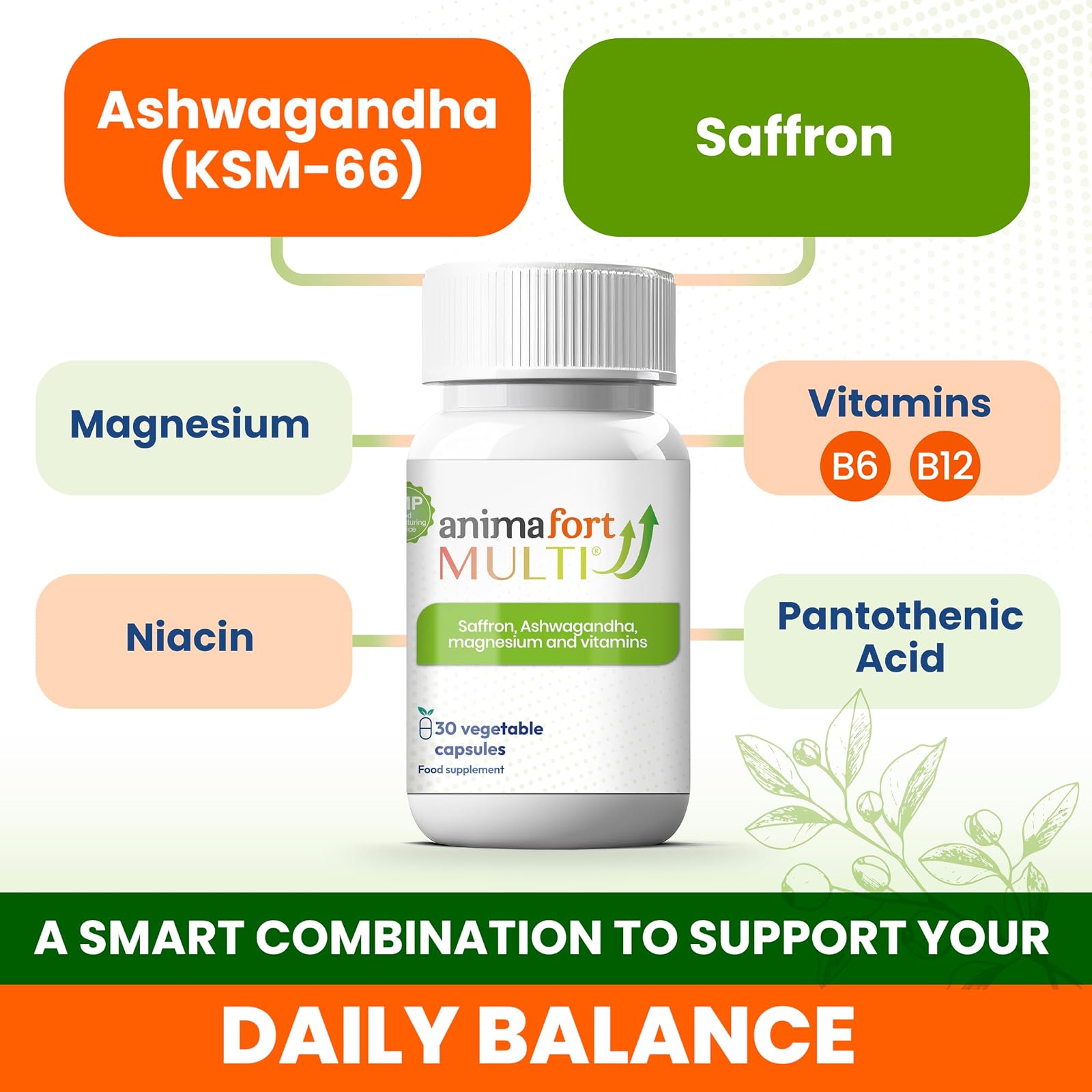 multivitamin for seniors with herbal support