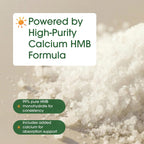 multivitamin for seniors with HMB