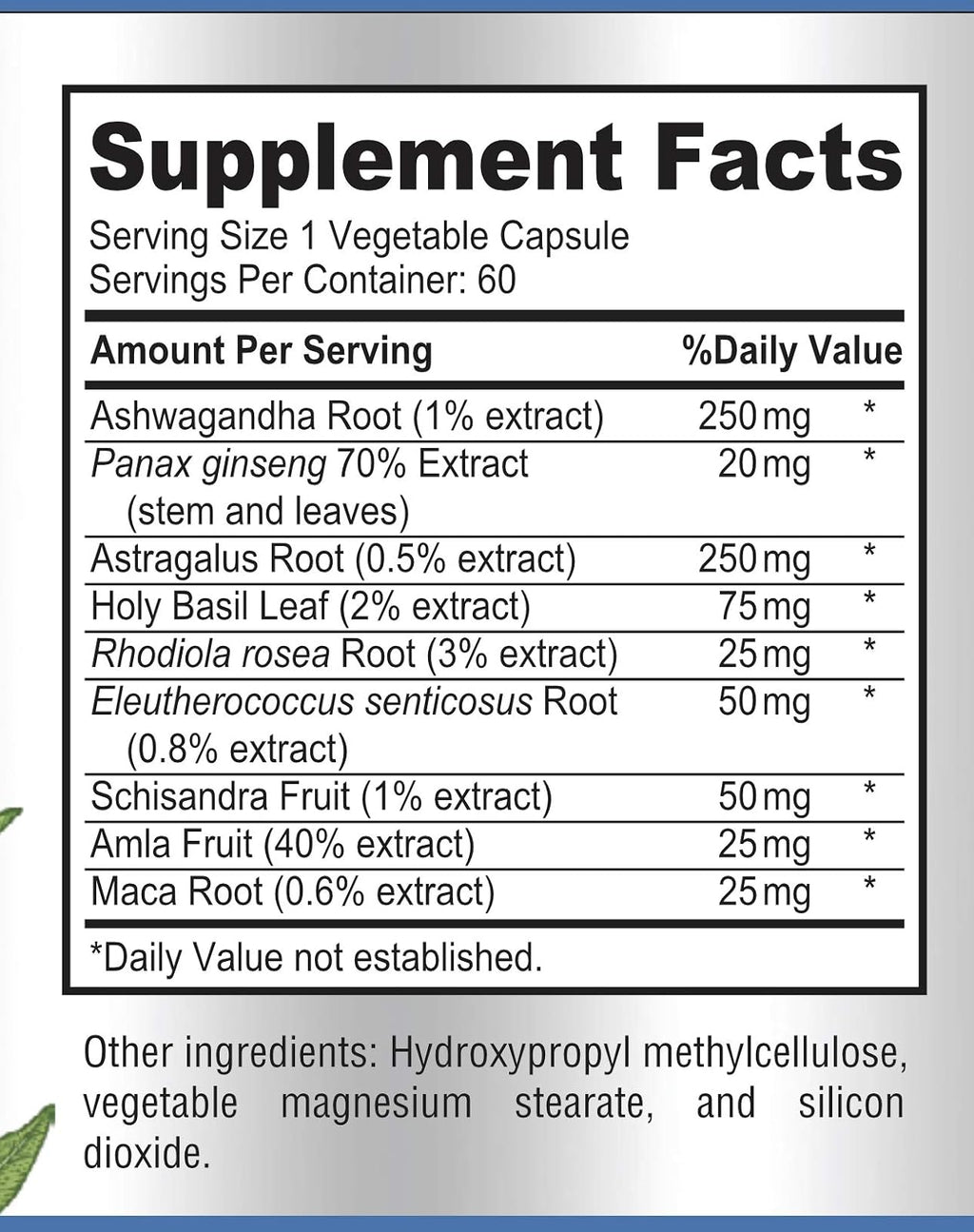 multivitamin for seniors with immune boost