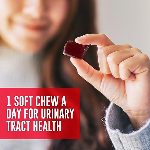 multivitamin for seniors with immune support