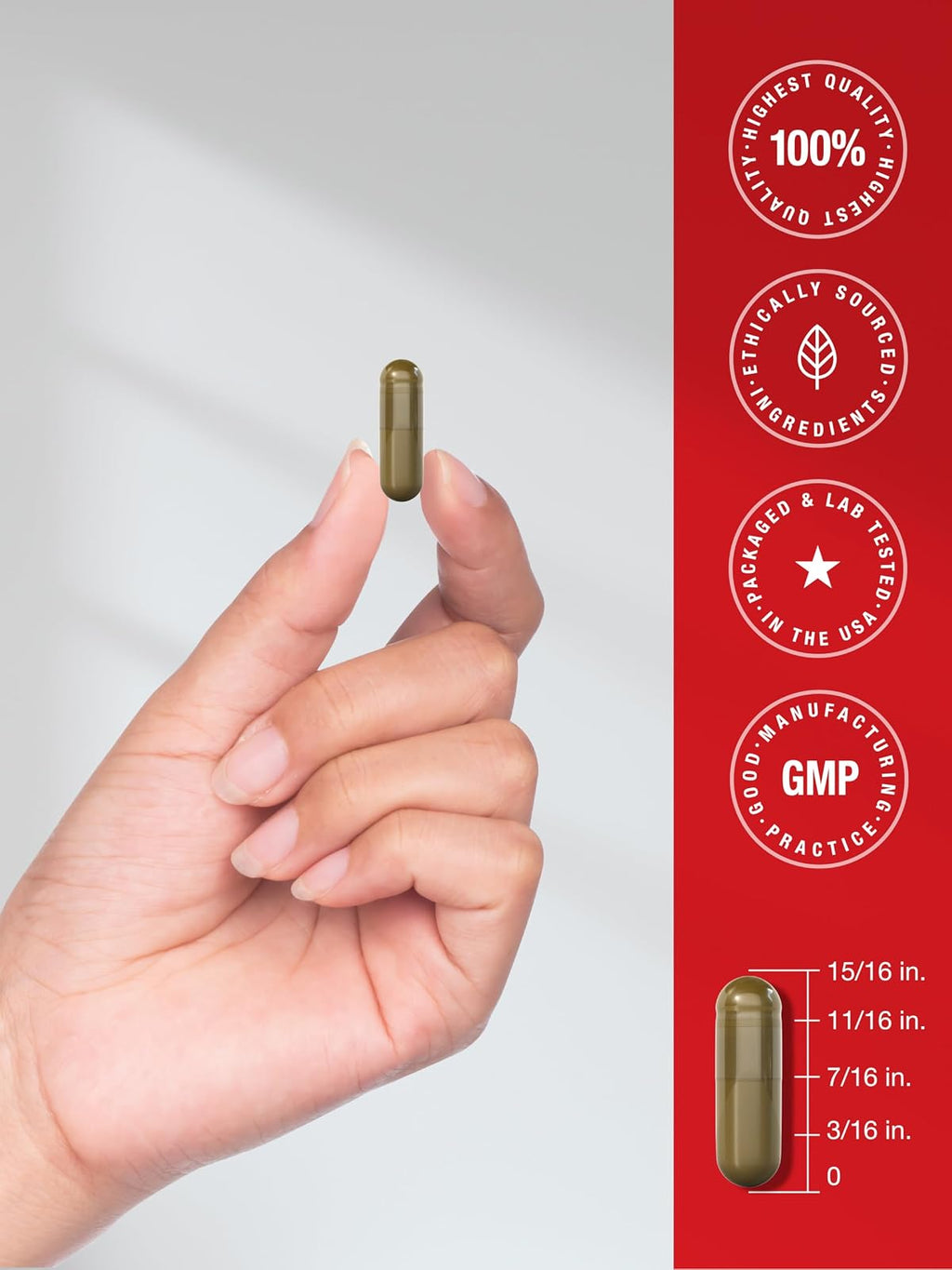 multivitamin for seniors with immune support