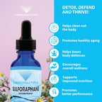 Multivitamin for seniors with immune support