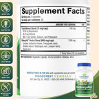 multivitamin for seniors with kidney support
