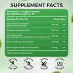 multivitamin for seniors with liposomal support