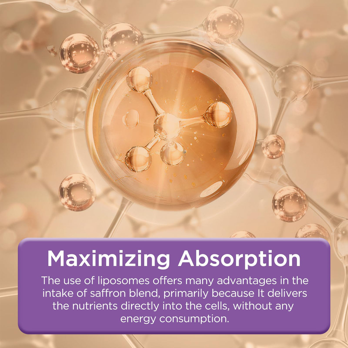 Multivitamin for seniors with liquid drops
