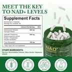 multivitamin for seniors with NAD