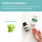 Multivitamin for seniors with Nattokinase