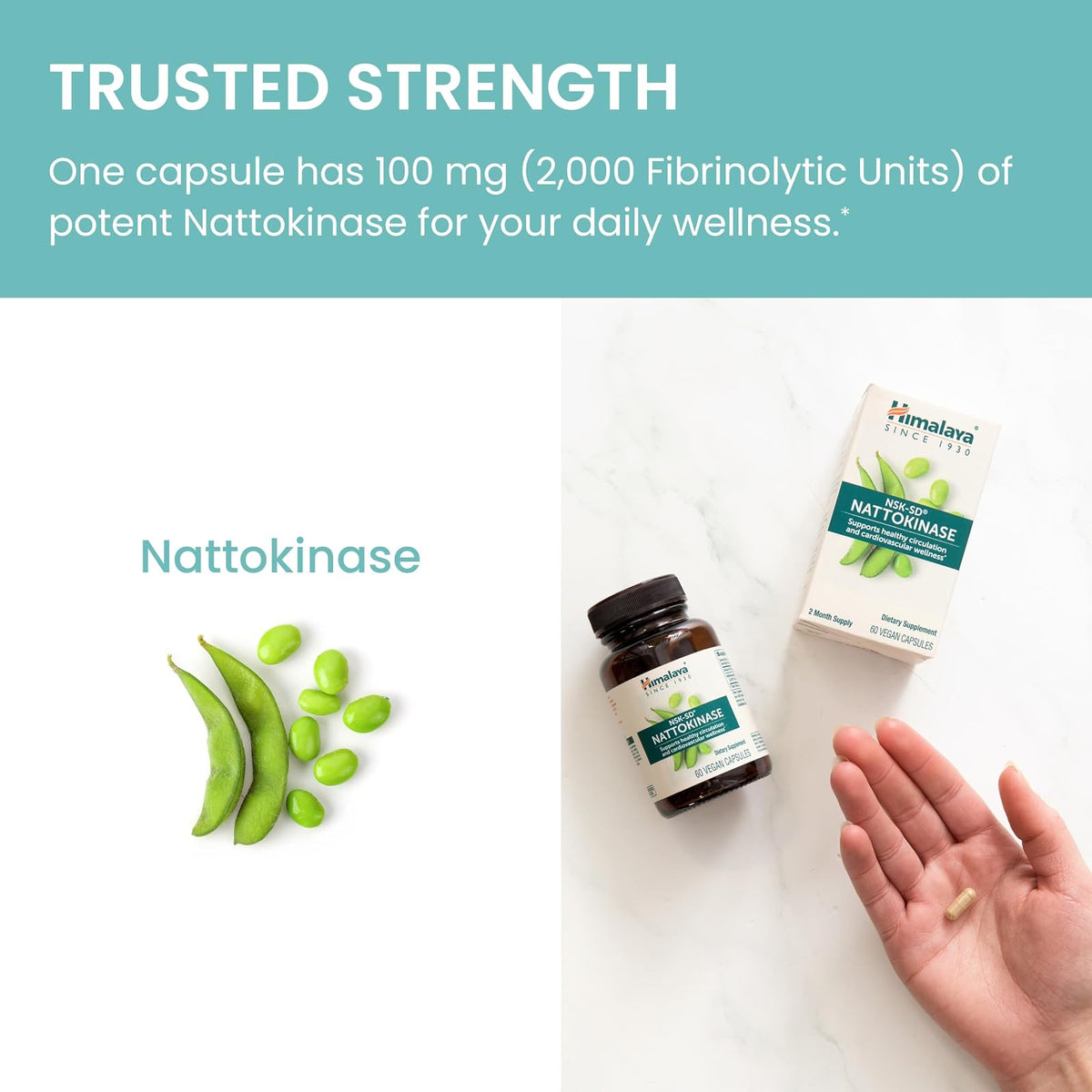 Multivitamin for seniors with Nattokinase