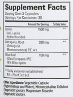 multivitamin for seniors with natural ingredients