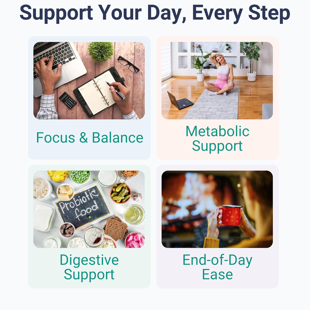 multivitamin for seniors with nutrients