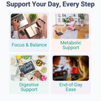multivitamin for seniors with nutrients