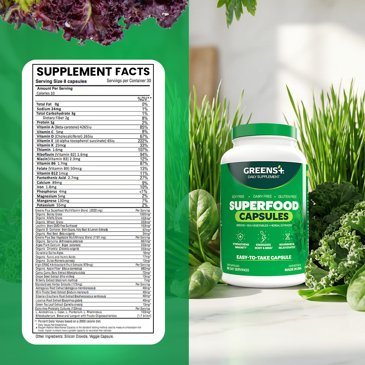 multivitamin for seniors with organic ingredients