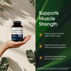 multivitamin for seniors with phosphatidylserine benefits