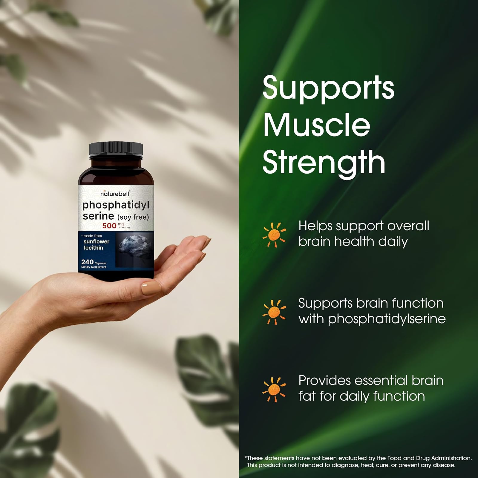 multivitamin for seniors with phosphatidylserine benefits