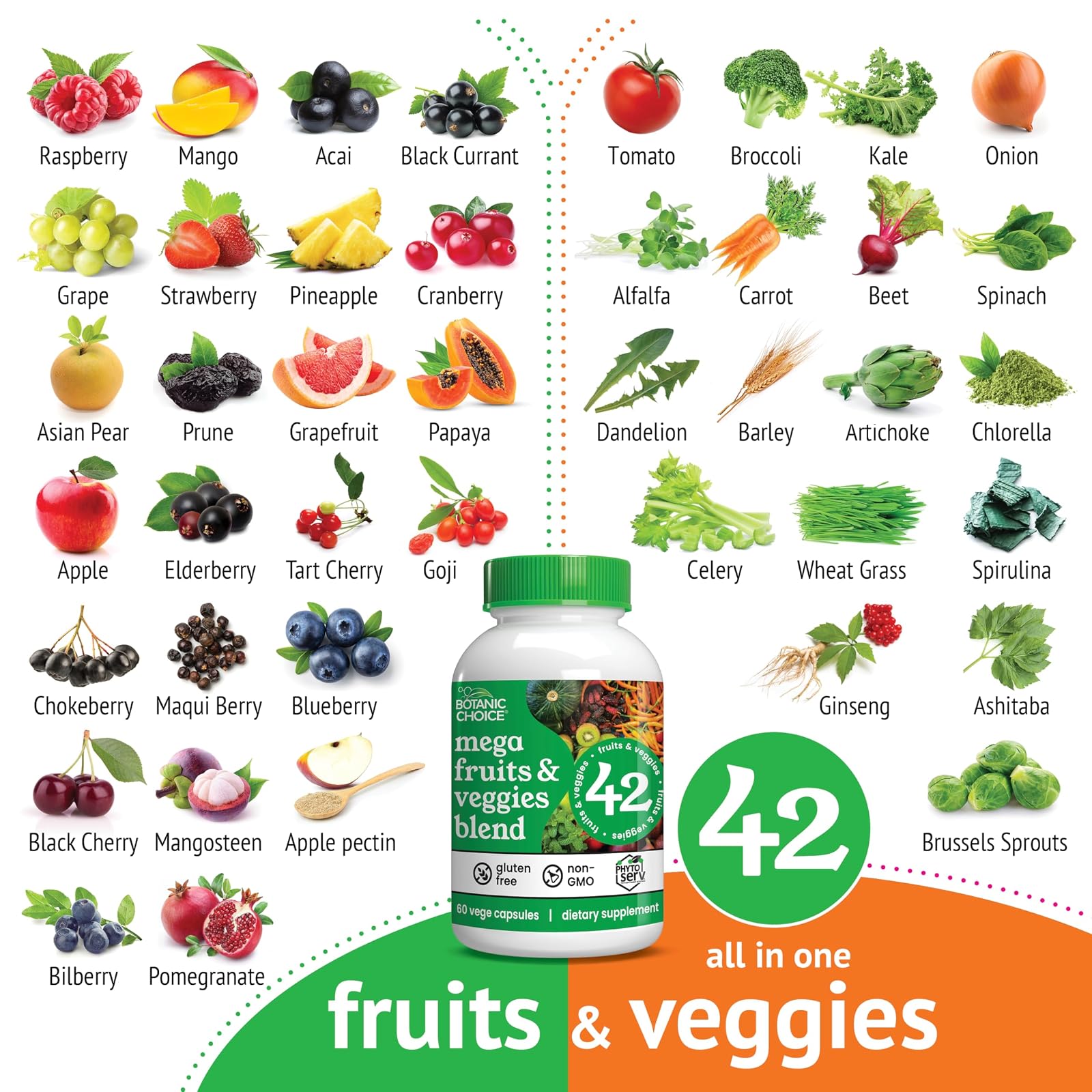 multivitamin for seniors with plant-based ingredients