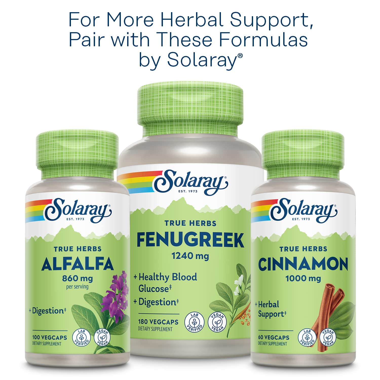 multivitamin for seniors with prickly pear