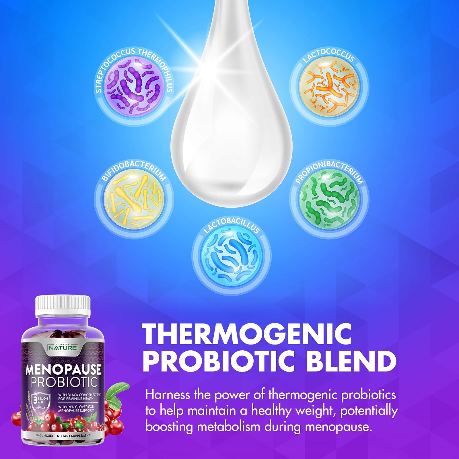 multivitamin for seniors with probiotics