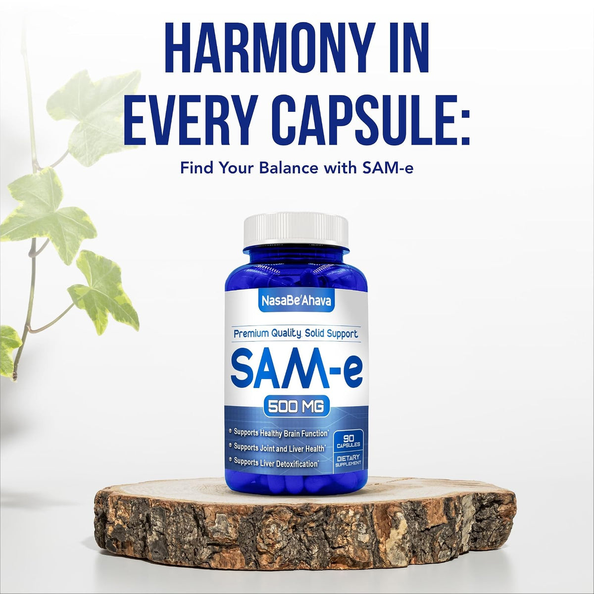 multivitamin for seniors with SAM-E