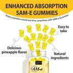 multivitamin for seniors with SAM-e
