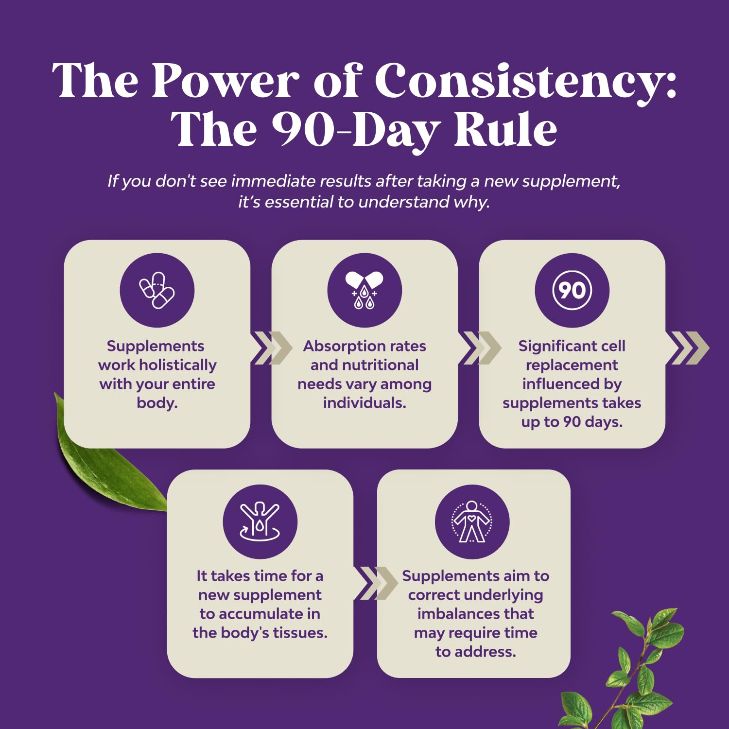 multivitamin for seniors with SAMe support