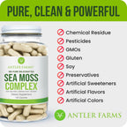 multivitamin for seniors with sea moss