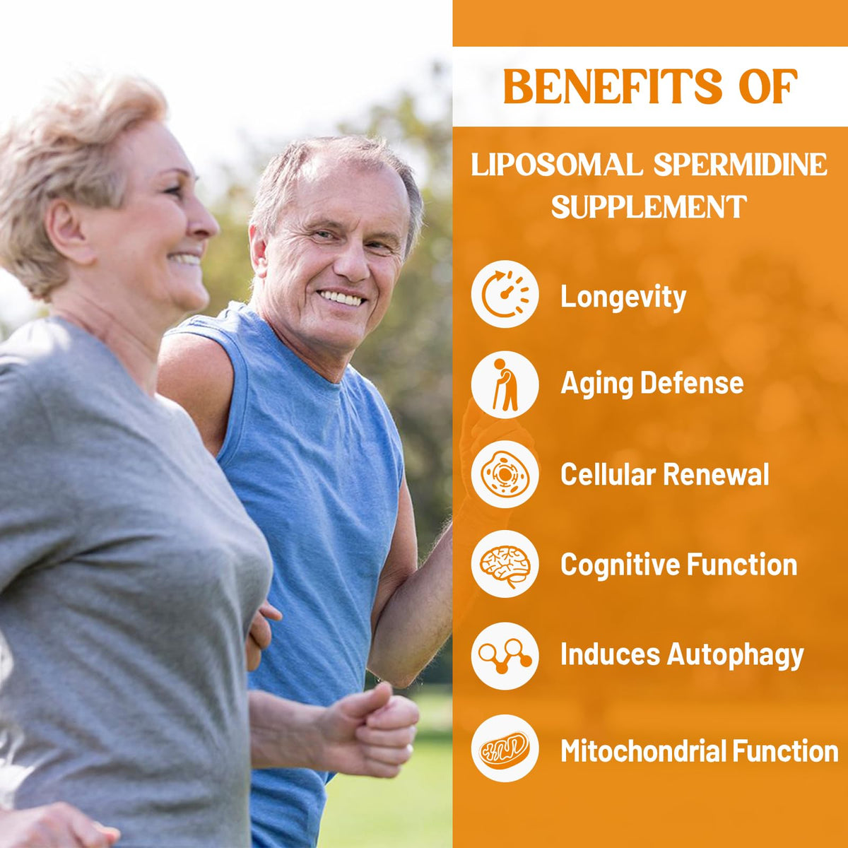 multivitamin for seniors with softgels