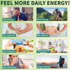 multivitamin for seniors with spirulina