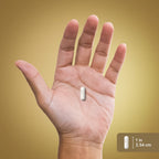 multivitamin for seniors with Tudca