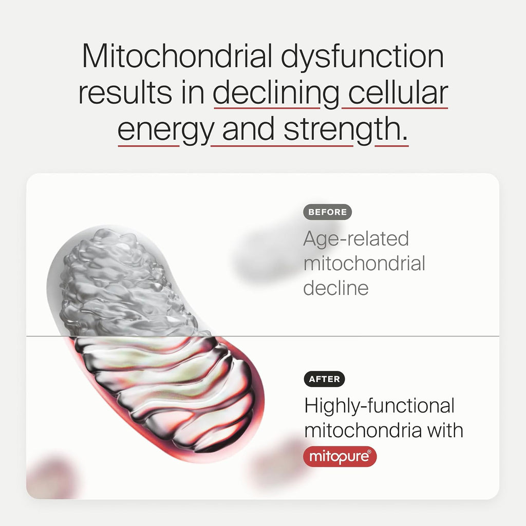 Multivitamin for seniors with Urolithin A