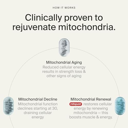 multivitamin for seniors with Urolithin A