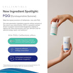 multivitamin for seniors with vital minerals