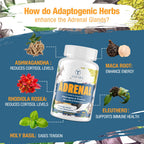 multivitamin for stress relief