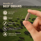 multivitamin for women beef capsules