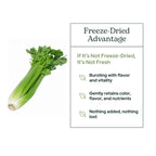 multivitamin for women celery juice