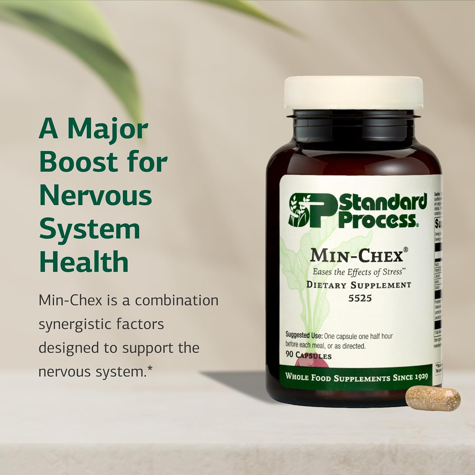 multivitamin for women daily support