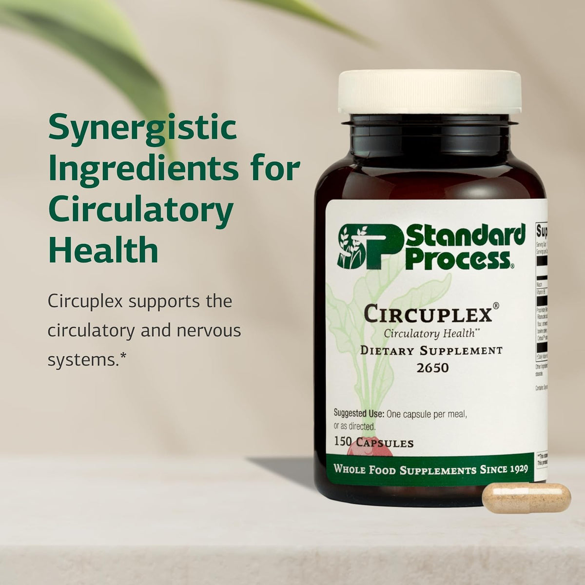 multivitamin for women daily support