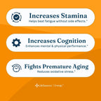 multivitamin for women energy support