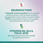 multivitamin for women enhancing memory