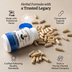 multivitamin for women immune support