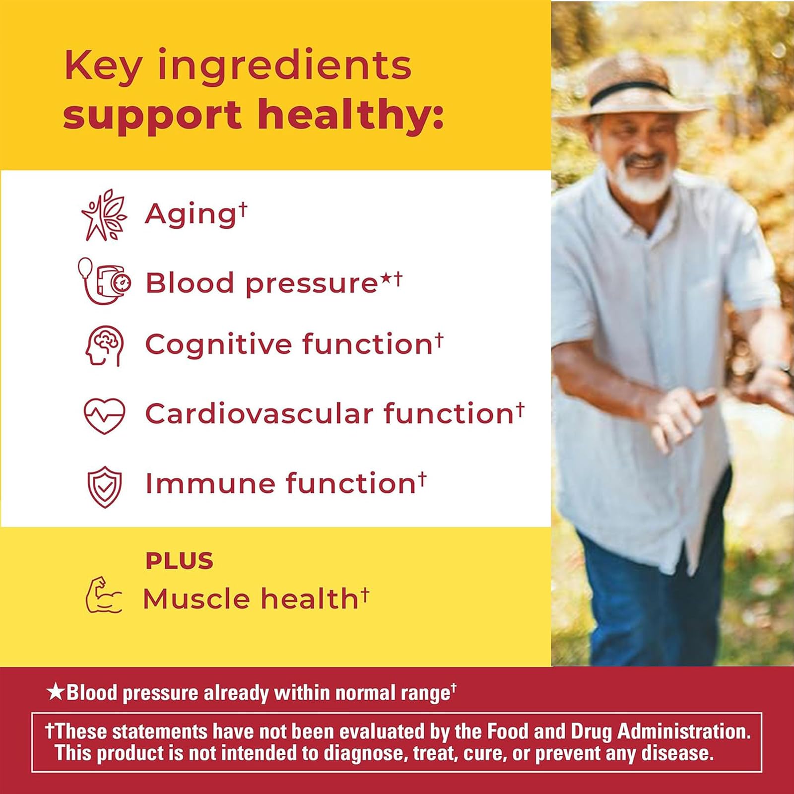 multivitamin for women over 50