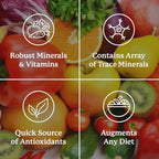 multivitamin for women packed with vitamins
